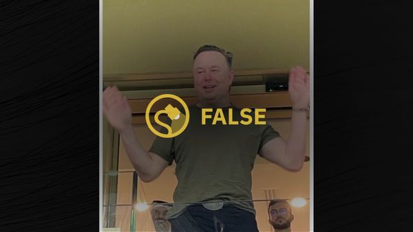 Is This 'Moon Face' Pic of Elon Musk at the World Cup Final Real ... Is This 'Moon Face' Pic of Elon Musk at the World Cup Final Real ...